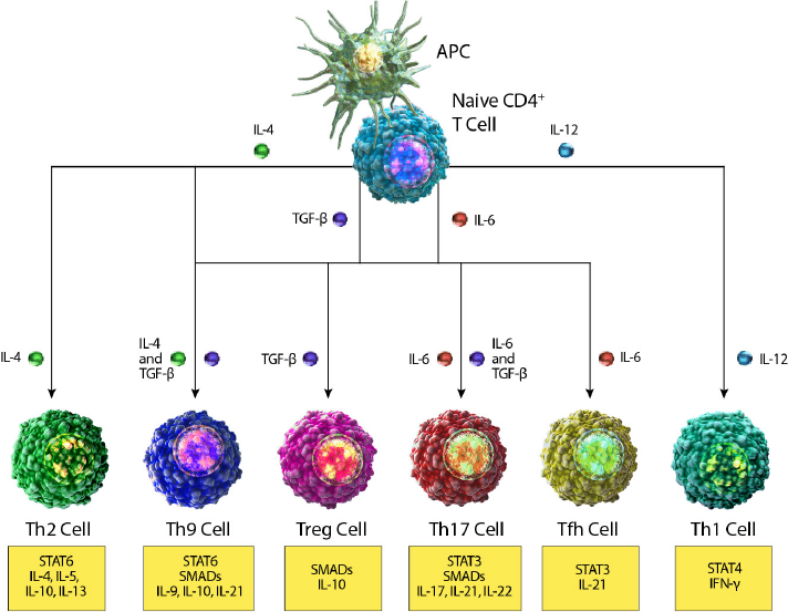 Recombinant Proteins Powered by BioLegend | Revvity
