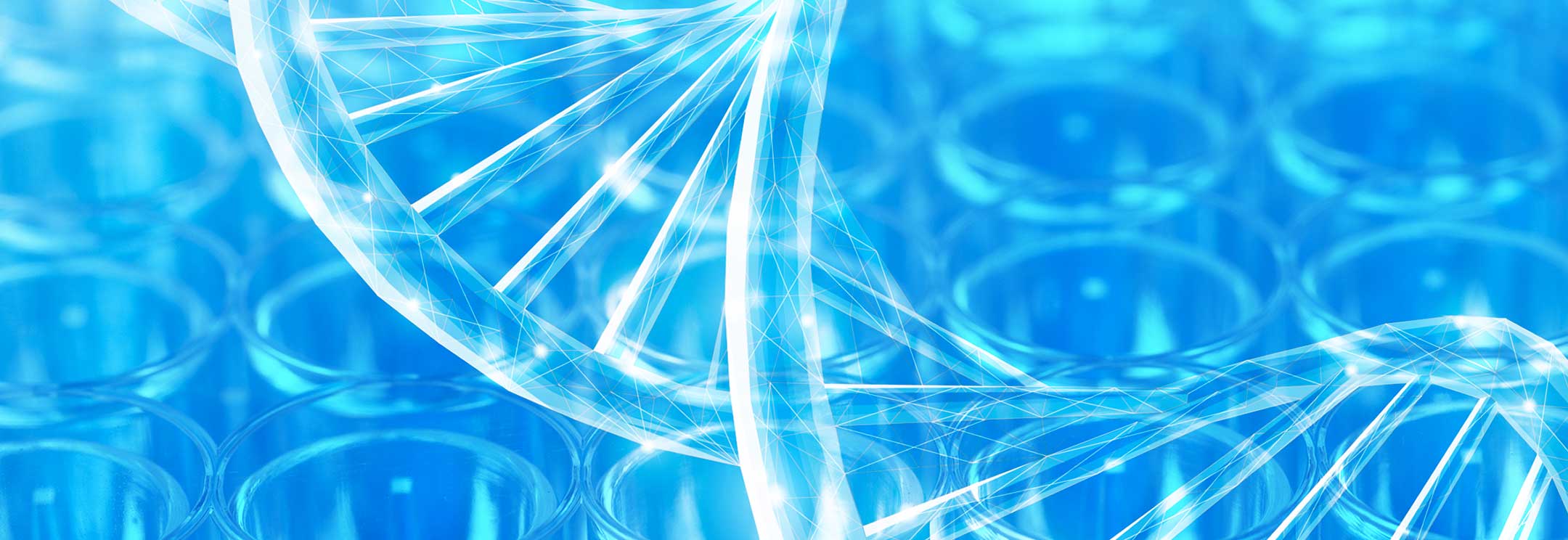 NEXTFLEX NGS Library Prep Kits | Revvity