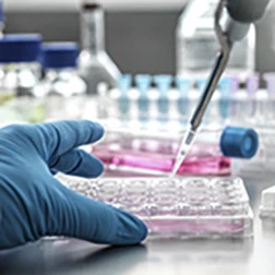 Virology reagents | Revvity