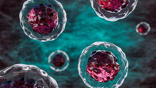 Cell Analysis Solutions and Products | Revvity