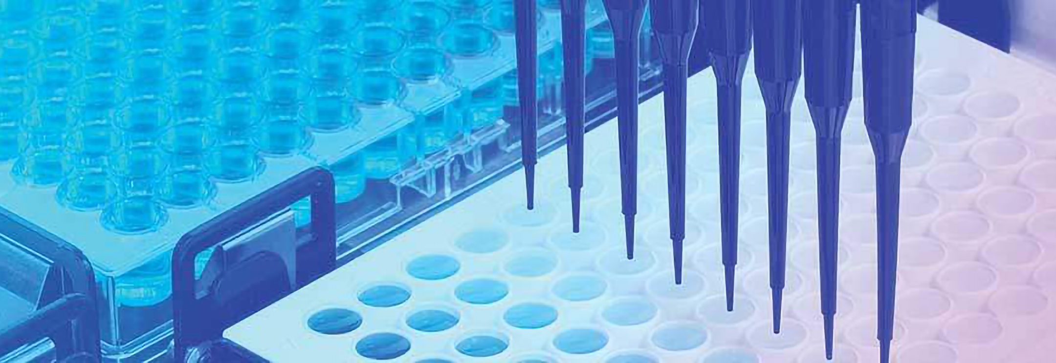 Automated NGS Applications | Revvity