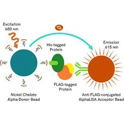 Alpha Assays | Revvity