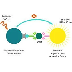 Alpha Assays | Revvity
