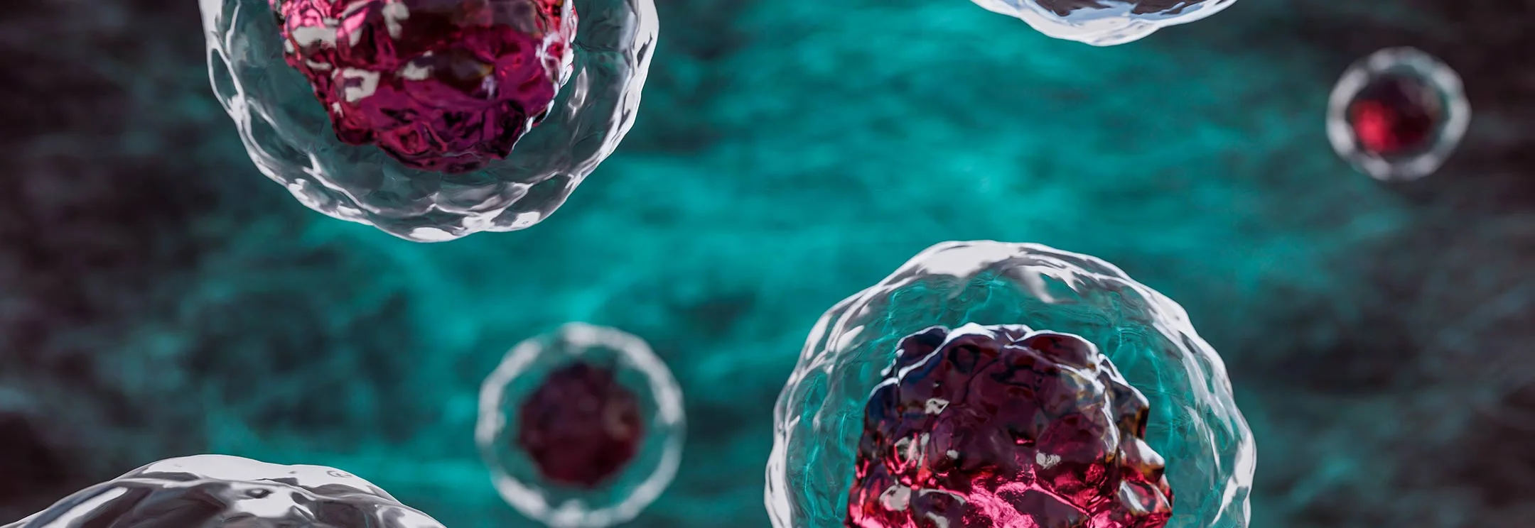 Cell Viability Assays | Cell Health and Viability Solutions | Revvity Cell Viability Assays | Cell Health and Viability Solutions | Revvity