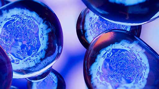 Sample Sonication And Ultrasonication For Cell Lysis | Revvity