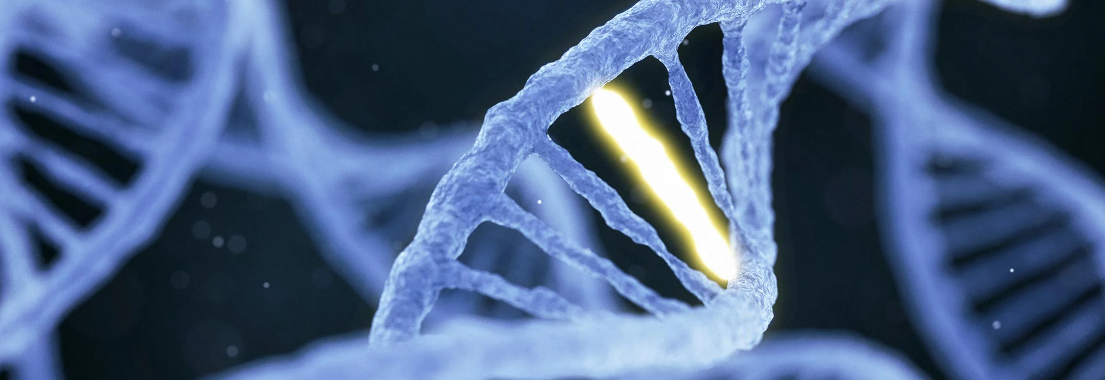 Targeted Sequencing | Revvity