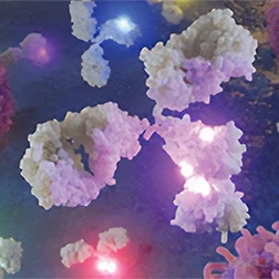 Assays and reagents | Revvity