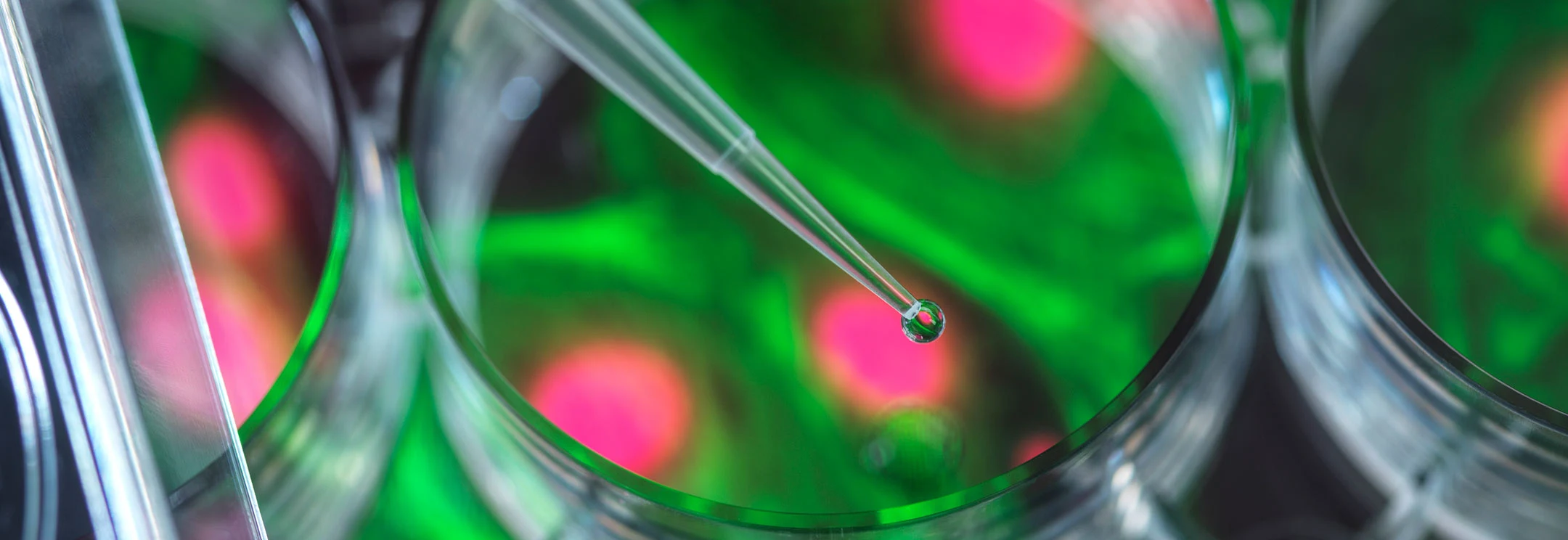 Functional Drug Testing Revvity