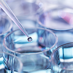 Small molecule labeling | Revvity