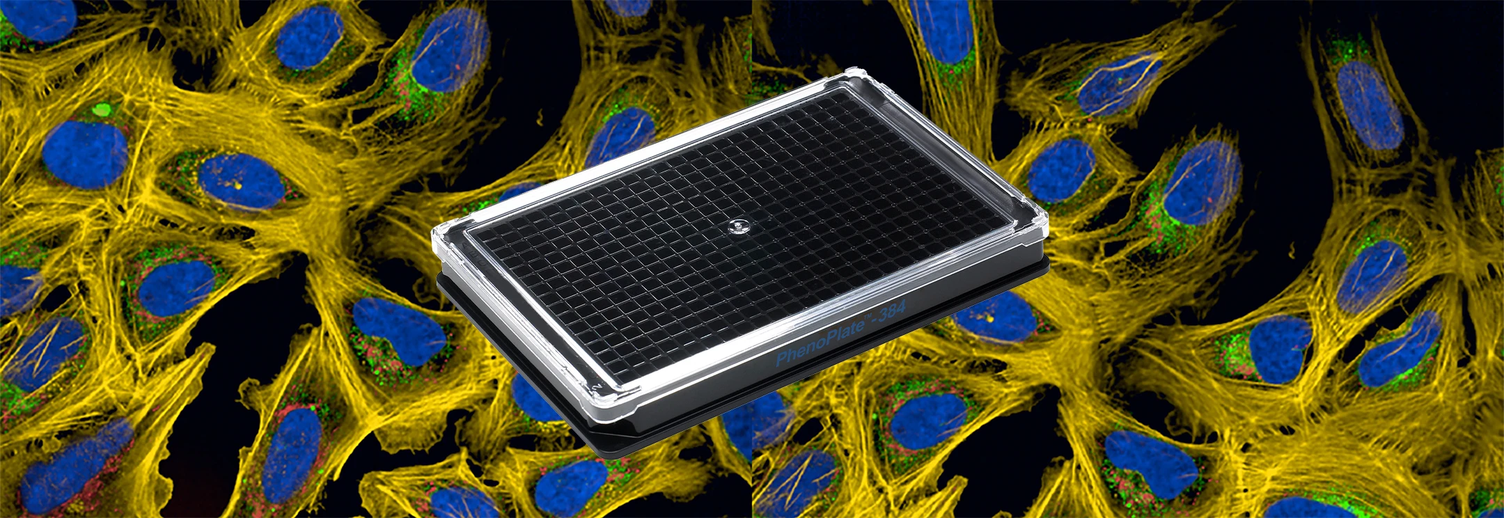 Microplates for High Content Imaging Microplates | Revvity