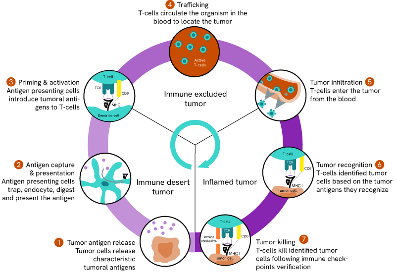 Immuno-oncology reagents | Revvity