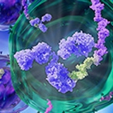 Multiomics and TotalSeq Reagents by BioLegend | Revvity