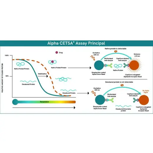 Alpha SureFire CETSA STING Detection Kit, 500 Assay Points | Revvity