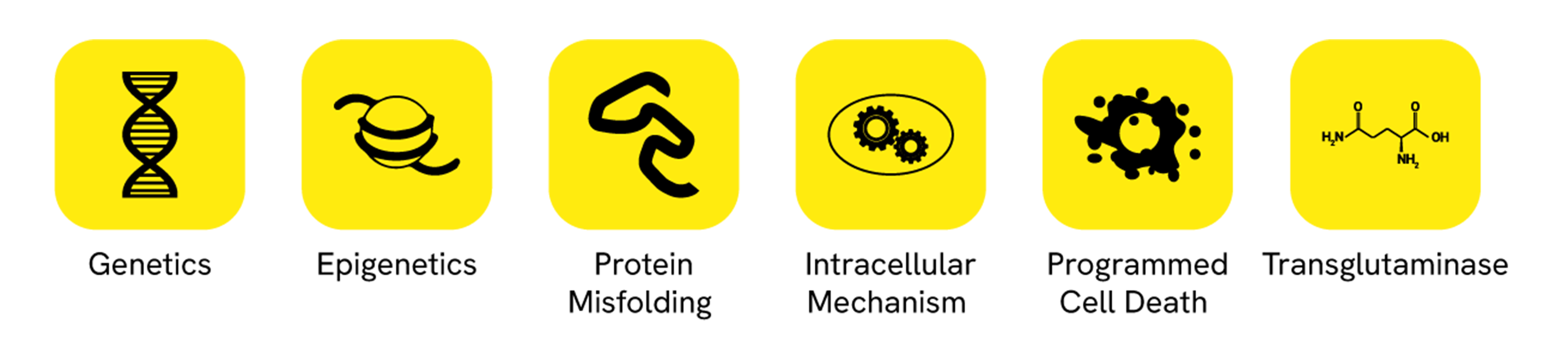 Neuroscience research reagents | Revvity