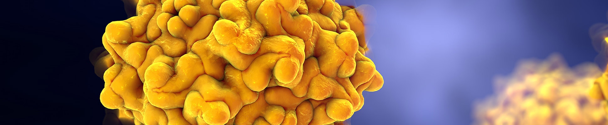 Unlocking AAV potential: navigating cell and gene therapy | Revvity