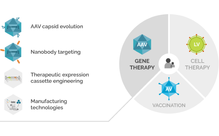 Adenovirus | Revvity