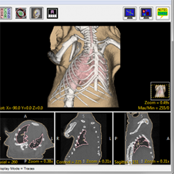 In Vivo Imaging Software - Living Image | Revvity