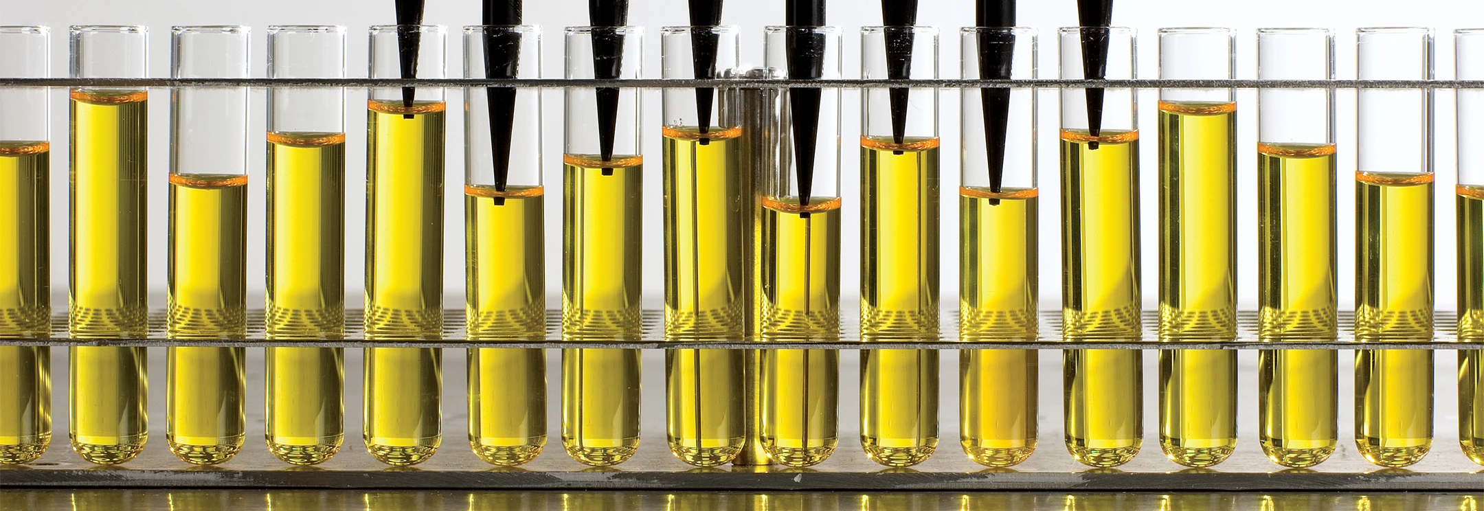 Automated liquid handling | Revvity