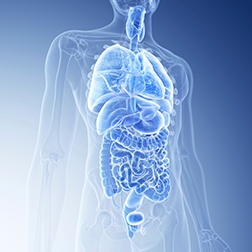 Mimix Cell Line Derived Molecular Reference Standards | Revvity