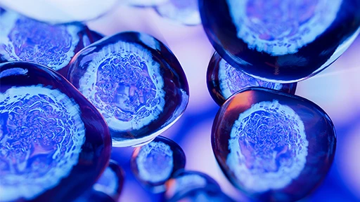 Cell Counting & Image Cytometry | Revvity