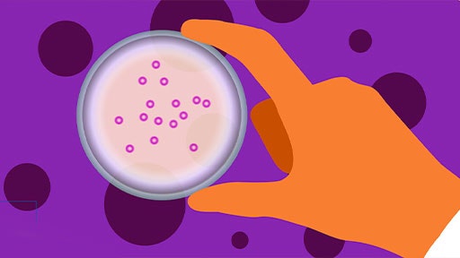 Cellular and In Vivo Imaging Solutions | Revvity