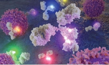 Cell Analysis Solutions and Products | Revvity