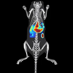 Optical Imaging | Revvity