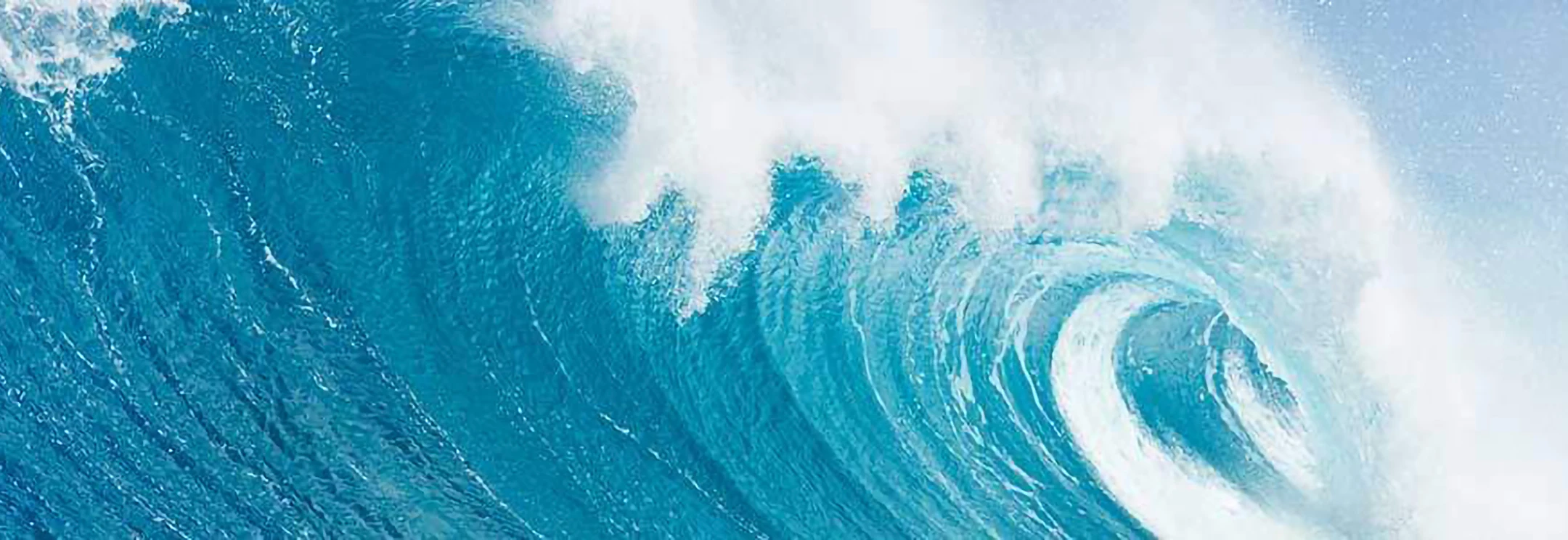 Fontus Automation | Revvity