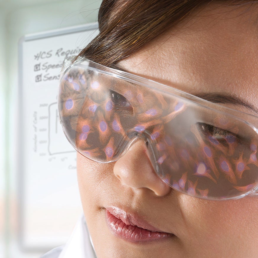 High-Content Screening Research Areas | Revvity