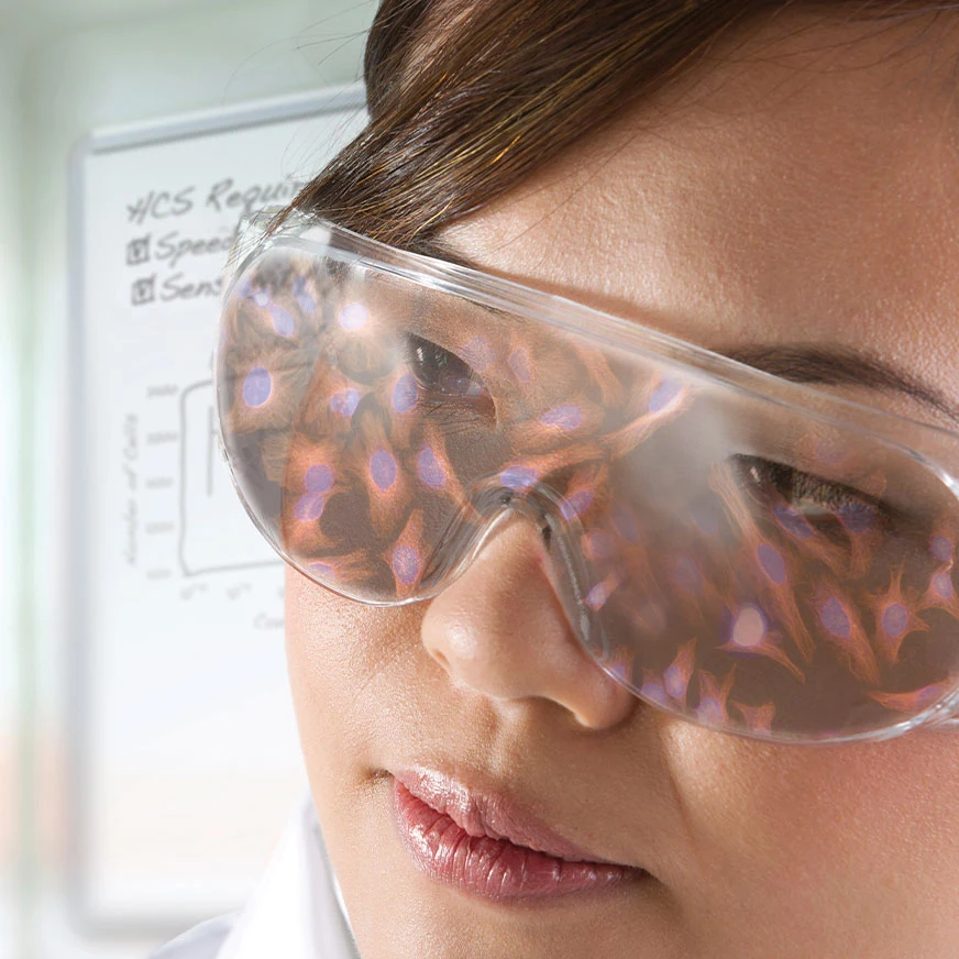 High-Content Screening Research Areas | Revvity
