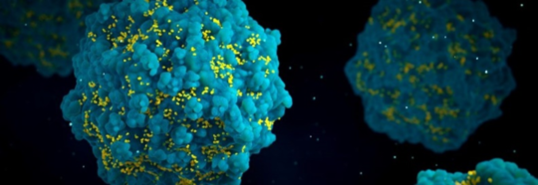 Lentivirus | Revvity