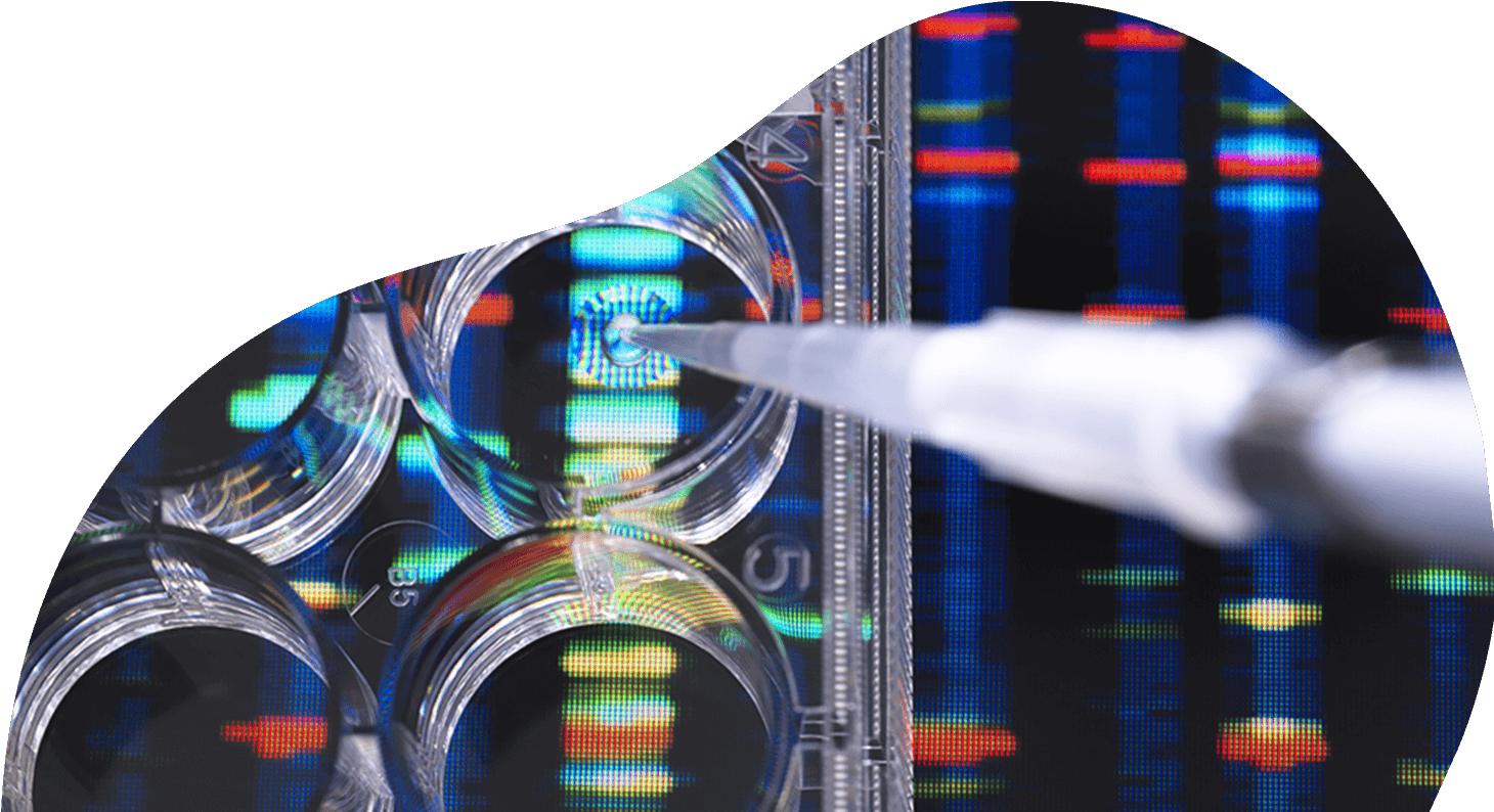 Pioneer groundbreaking discoveries for clinical translation | Revvity