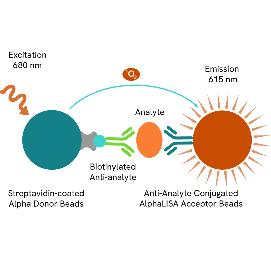Alpha Assays | Revvity
