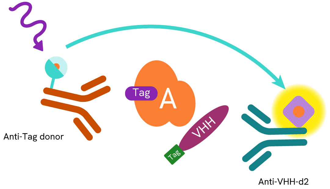 HTRF Anti-VHH-d2, 20,000 Assay Points | Revvity