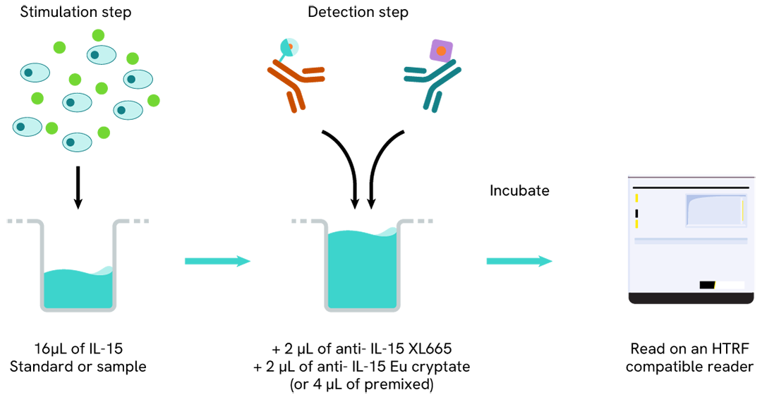 HTRF Human IL-15 Detection Kit, 500 Assay Points | Revvity