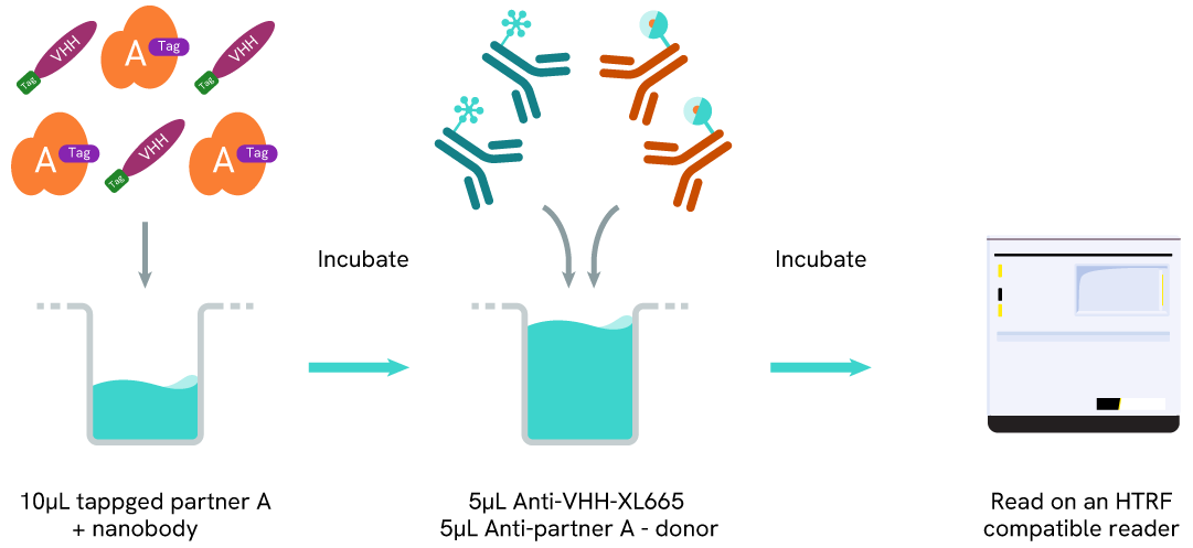 HTRF Anti-VHH-XL665, 5,000 Assay Points | Revvity