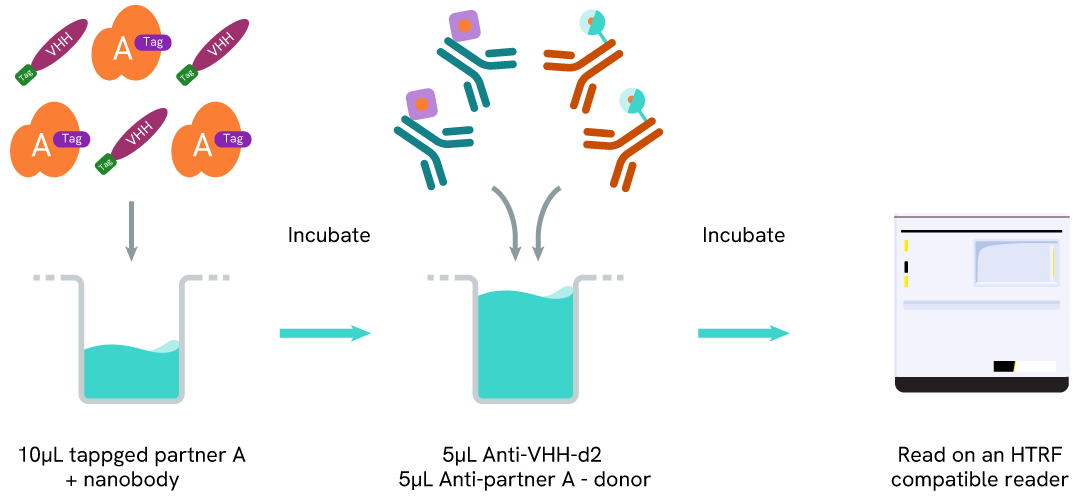HTRF Anti-VHH-d2, 20,000 Assay Points | Revvity