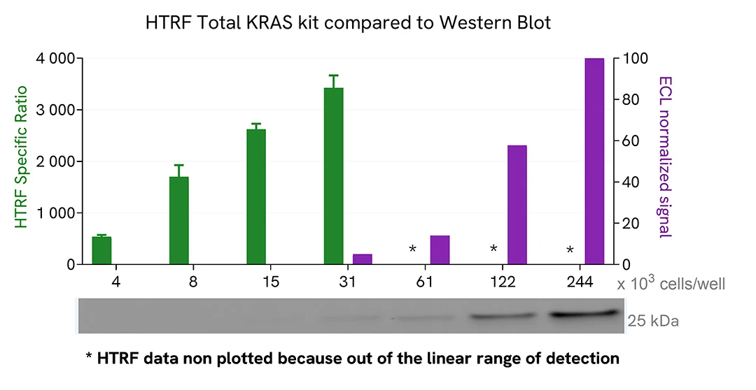 HTRF Human Total KRAS Detection Kit, 500 Assay Points | Revvity