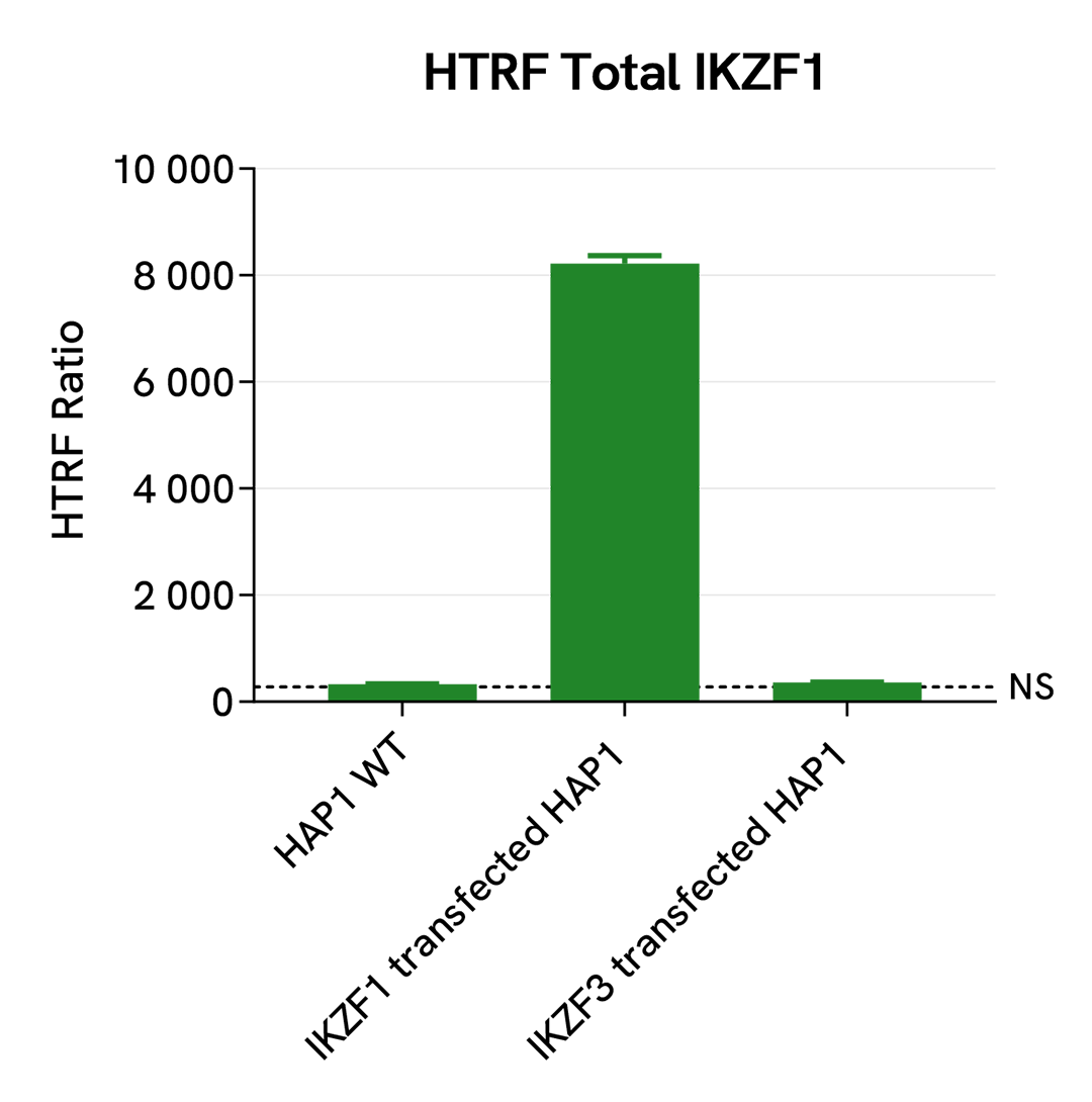 HTRF Human and Mouse Total IKZF1 Detection Kit, 500 Assay Points | Revvity
