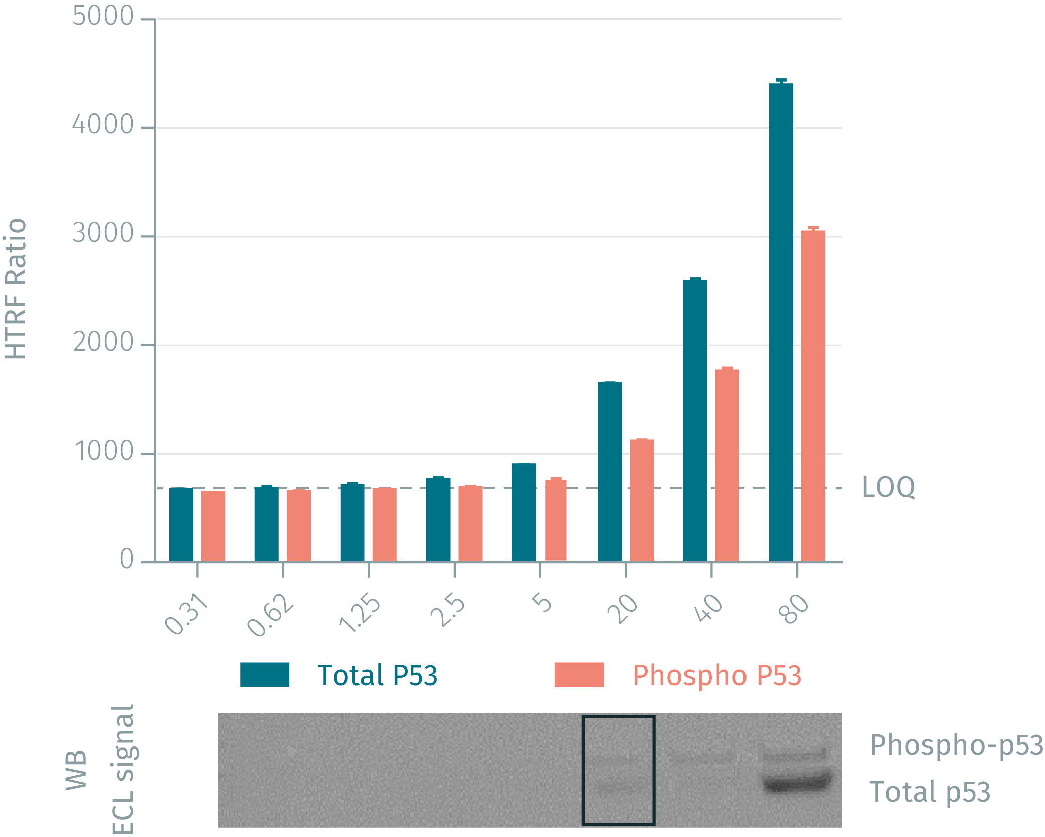 Htrf Human Phospho P53 Ser15 Detection Kit 10000 Assay Points Revvity