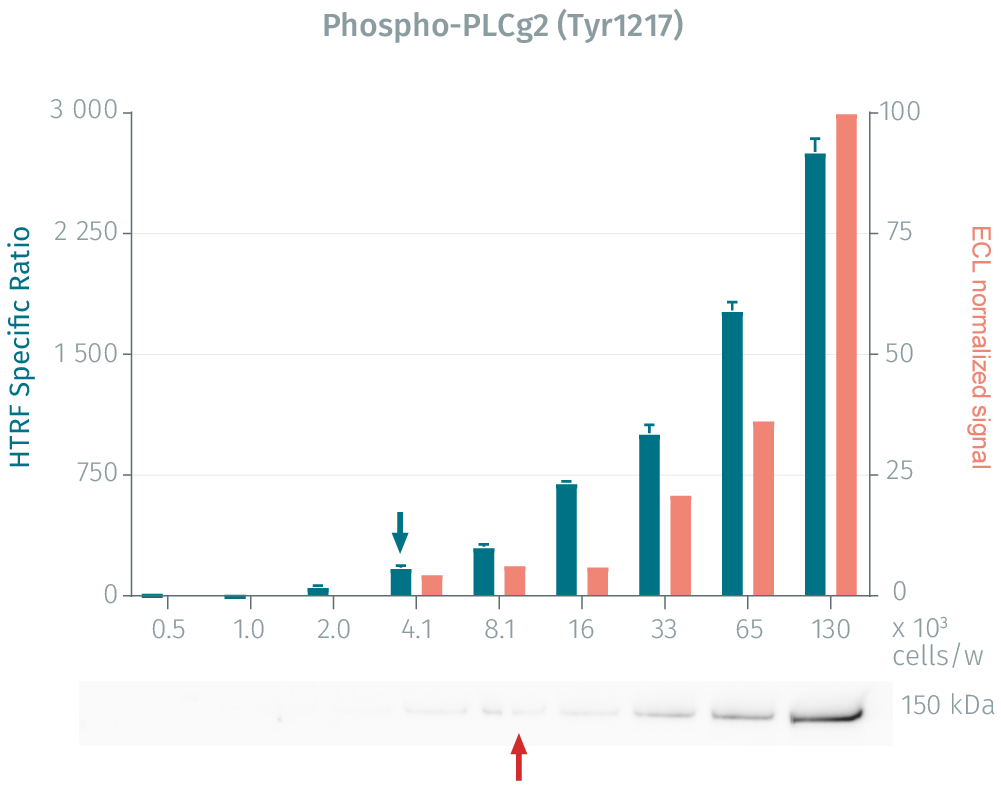 HTRF Human Phospho-PLC-γ2 (Tyr1217) Detection Kit, 500 Assay Points ...