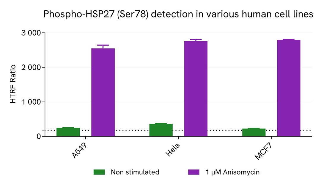 Htrf Phospho Hsp27 Ser78 Detection Kit 500 Assay Points Revvity