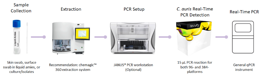 Candida auris Detection Real-time PCR Reagents | Revvity