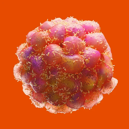 Oncology Drug Discovery Reagents | Revvity