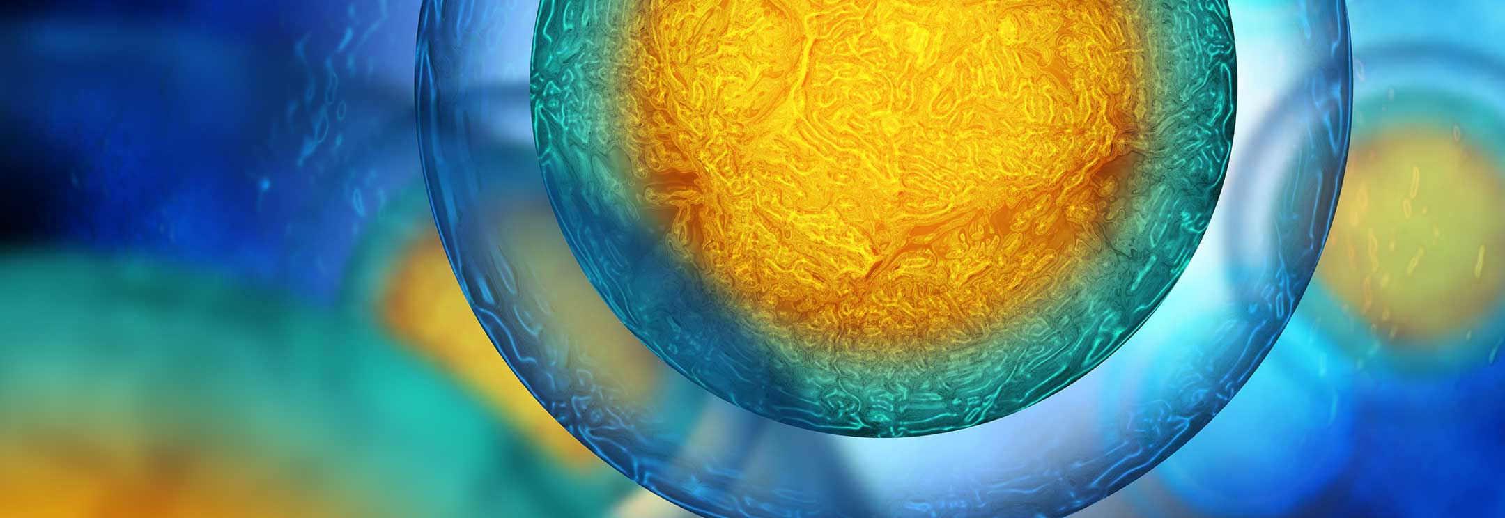 Cell Counters & Image Cytometers | Revvity