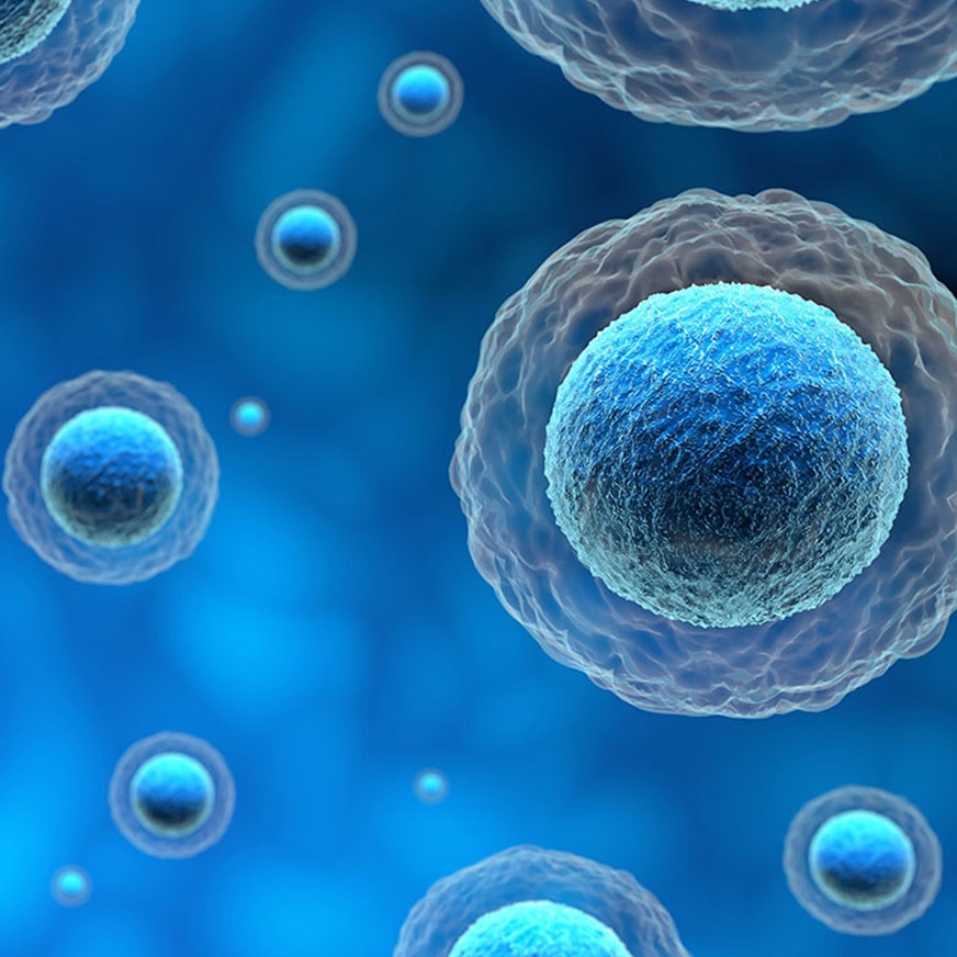 Cell Counting & Image Cytometry | Revvity