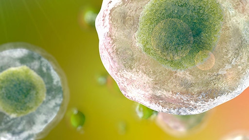 Cell lines for optimizing biotherapeutic production workflows | Revvity