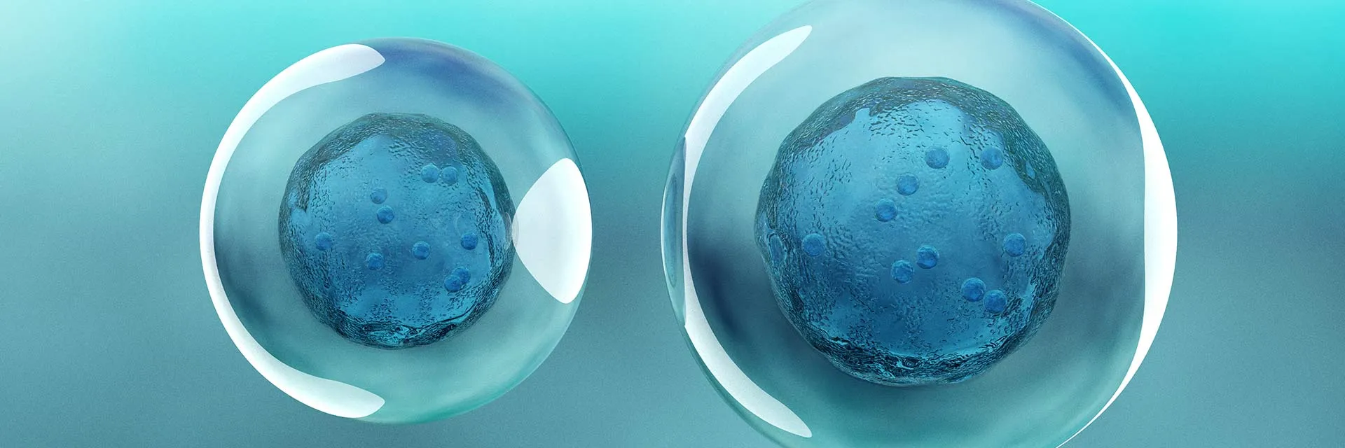 Improved inter-instrument consistency and high precision for CHO cell ...