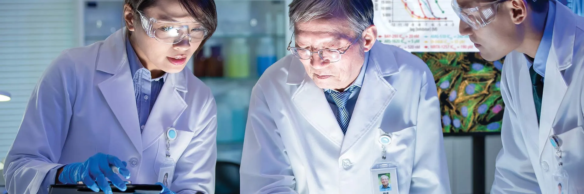 Comprehensive drug discovery workflows brochure | Revvity