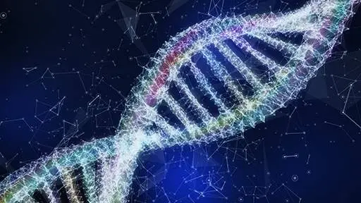 Automated NGS Applications | Revvity